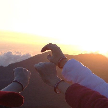 Association Idev CMS Implementation | Danny Did Foundation ...