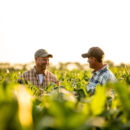 Detail | Americaneagle.com